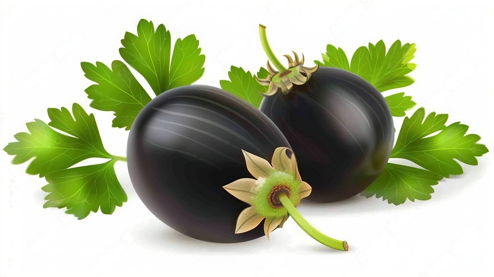Eggplant leaves (gboma, nkéa, etc.) – Likebel Farm